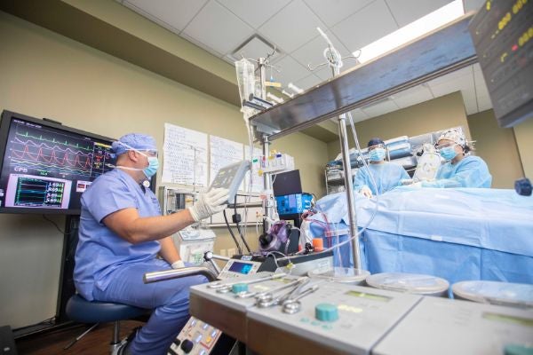 Cardiovascular Perfusion | Lipscomb University